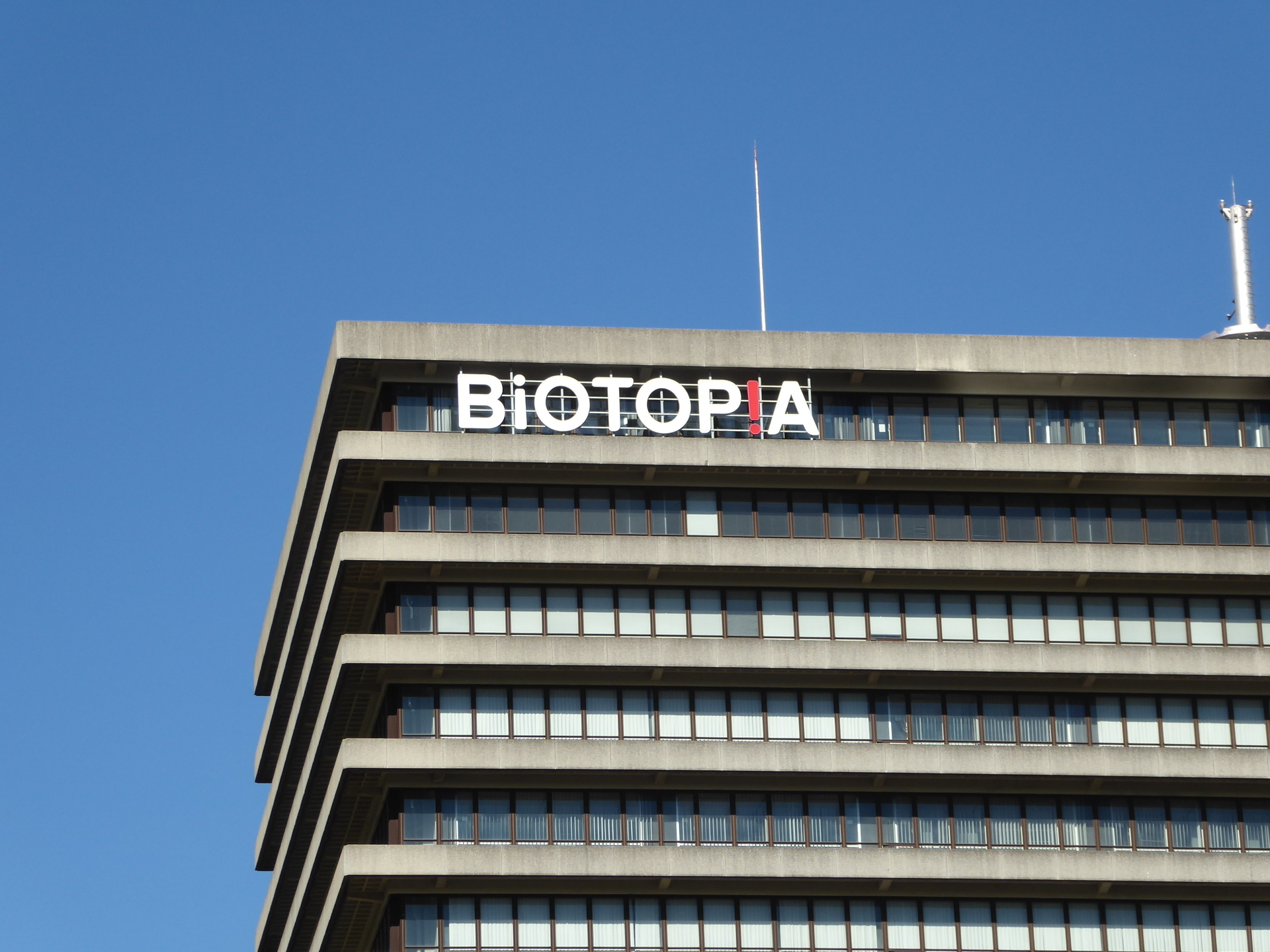 BIOTOPIA「森のみち」 銀杏: のんハイ（のんびりハイク）